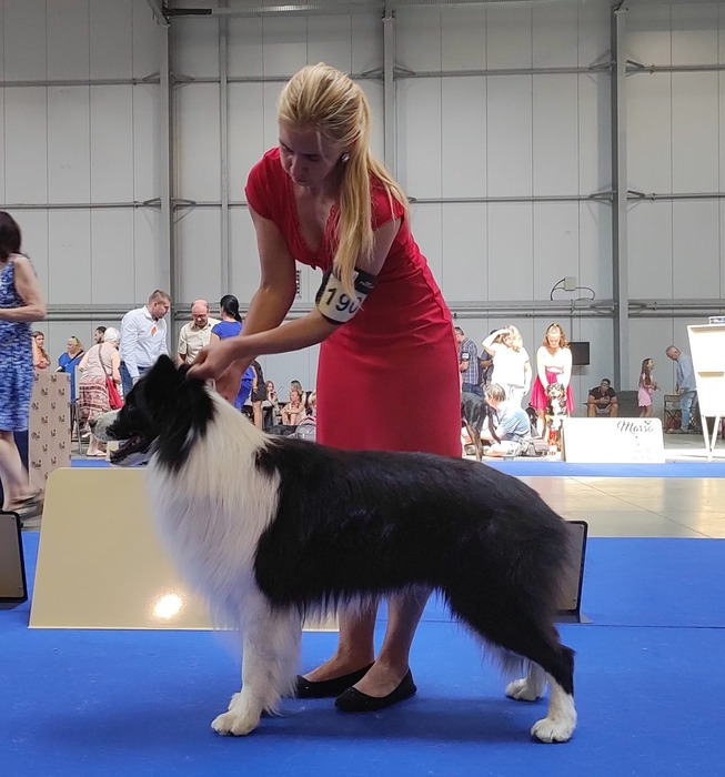 vrh C2 :: Tender-flash